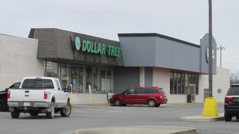 How Old Do You Have to Be to Work at Dollar Tree? - Career